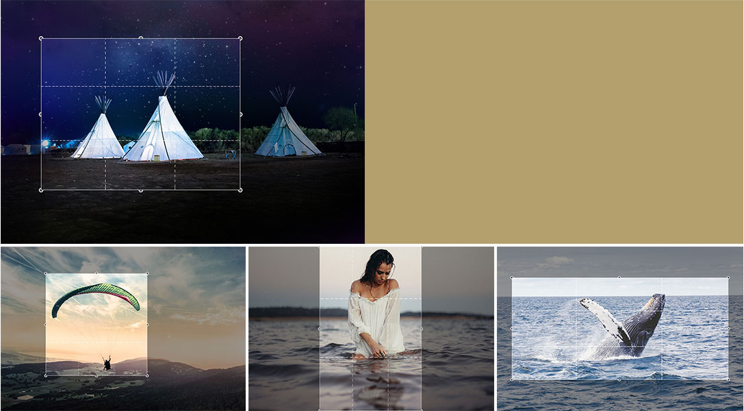 Photo Cropper | Fotor – Crop Photo Online for Free | Fotor Photo Editor